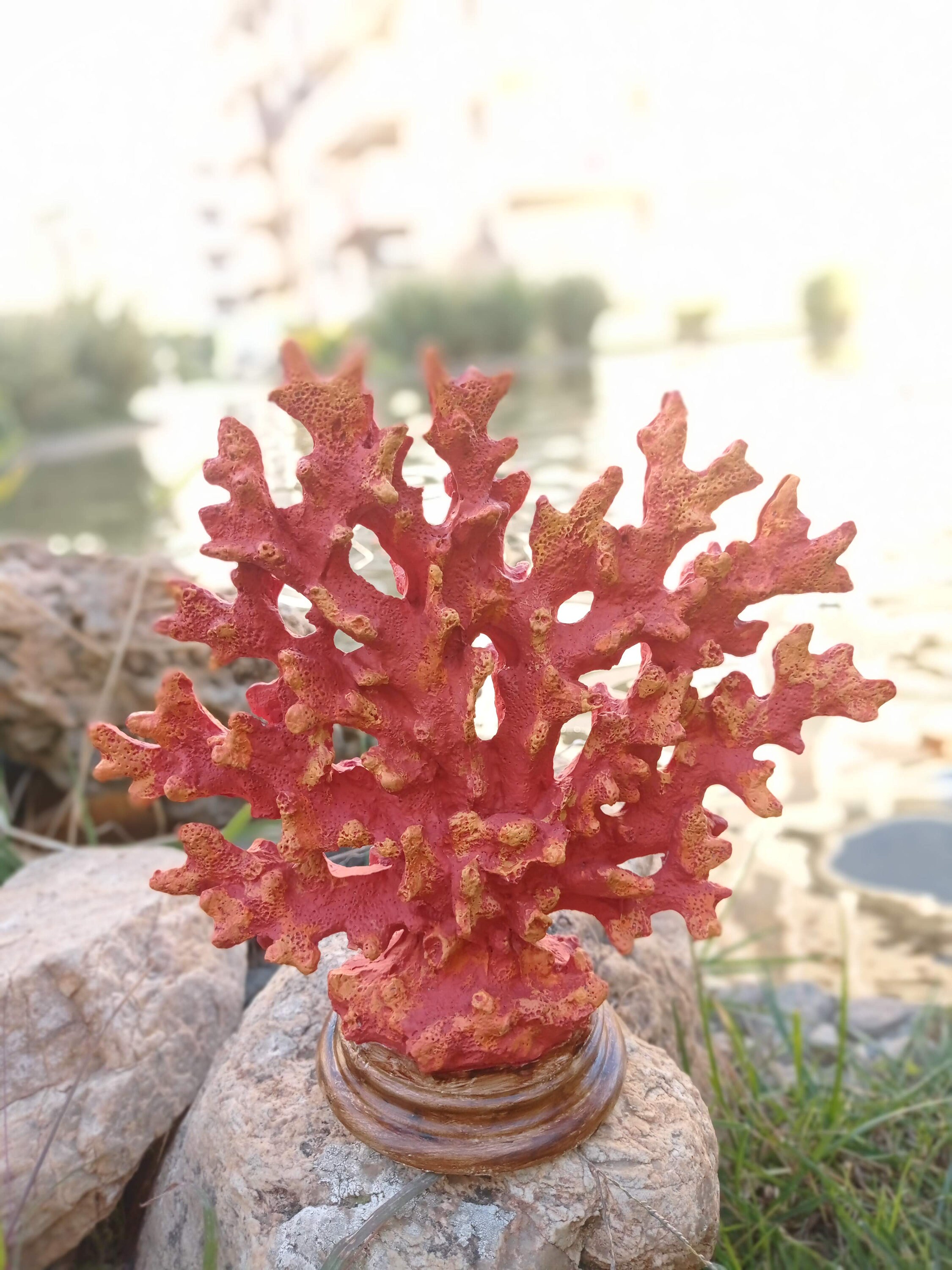 Sea Coral Statue, Coral Statue, Sea Product Object, Coral Figurine ...