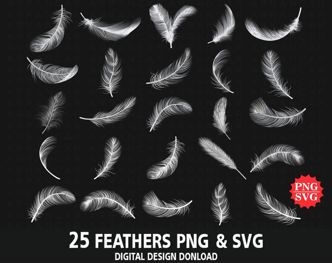 White Feathers SVG PNG Bundle Clipart, 25 Realistic Feathers for Cricut ...