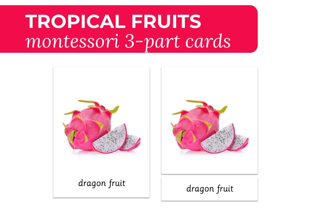 Tropical Fruits Montessori 3-part Cards, 12 Real Picture Cards, Three ...