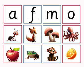 Beginning Letter Sounds Picture Sorting Card Set, Red Consonants Blue ...