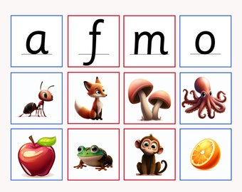 Beginning Letter Sounds Picture Sorting Card Set, Red Consonants Blue ...