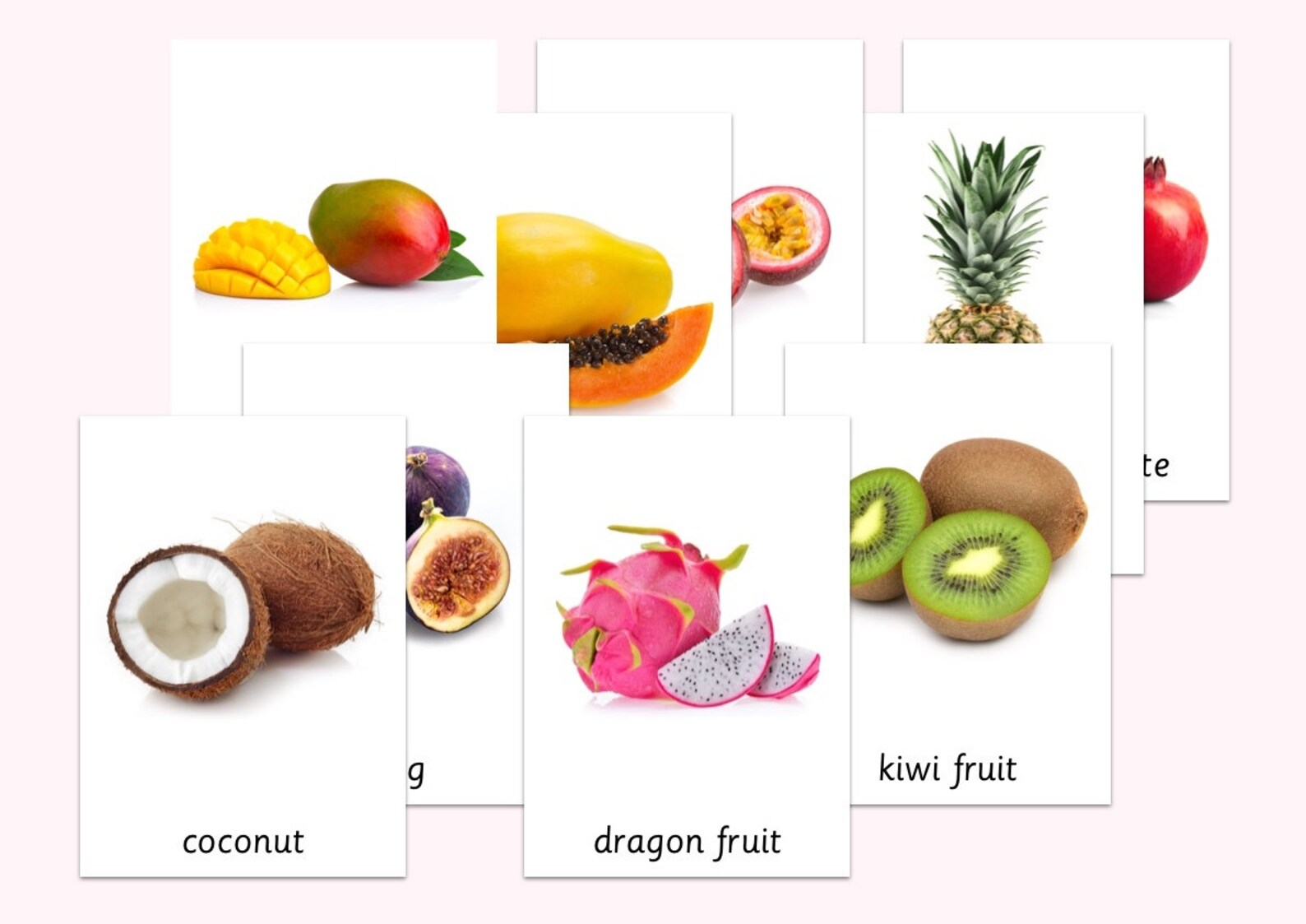Tropical Fruits Montessori 3-part Cards, 12 Real Picture Cards, Three ...