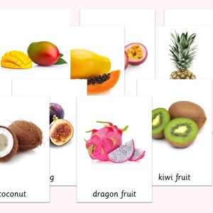 Tropical Fruits Montessori 3-part Cards, 12 Real Picture Cards, Three ...