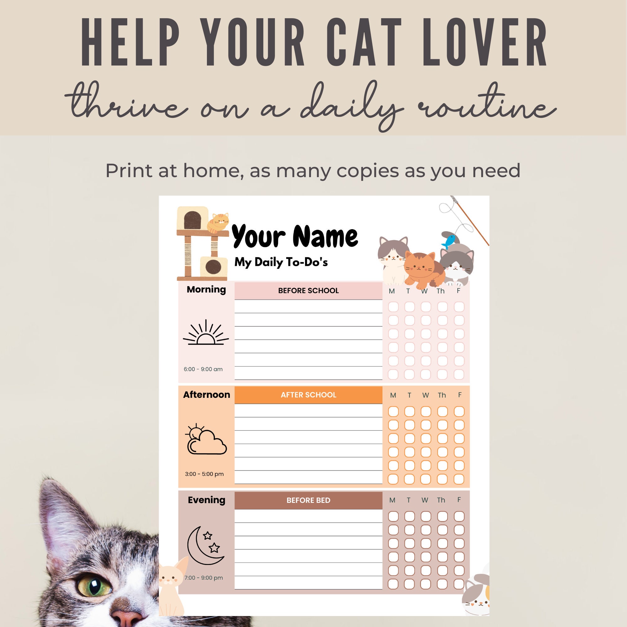 Cats Editable Kids Morning Routine Chart, Kids Daily Checklist, Bedtime ...