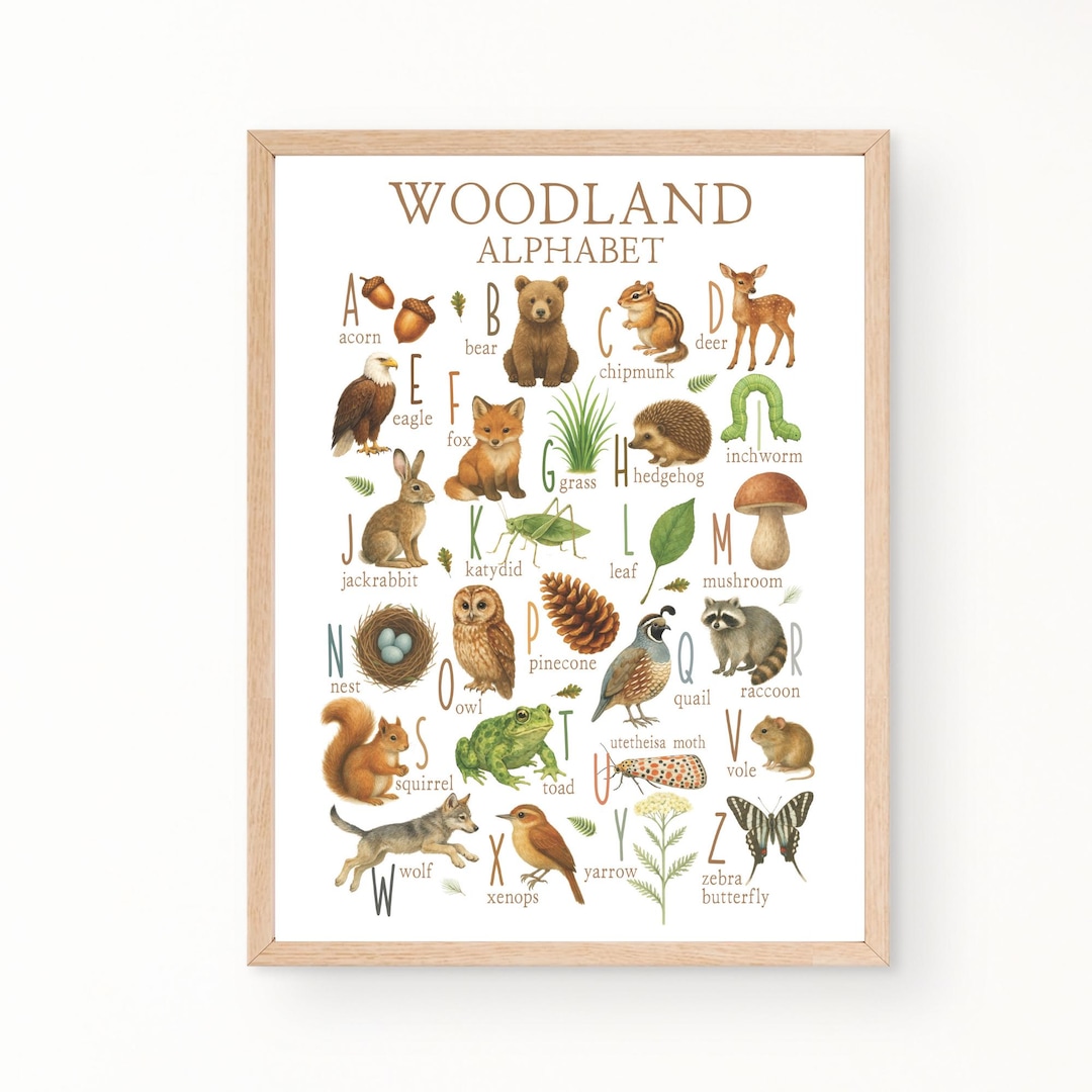 Woodland Alphabet Early Learning Printable, Gentle Classroom or Forest ...
