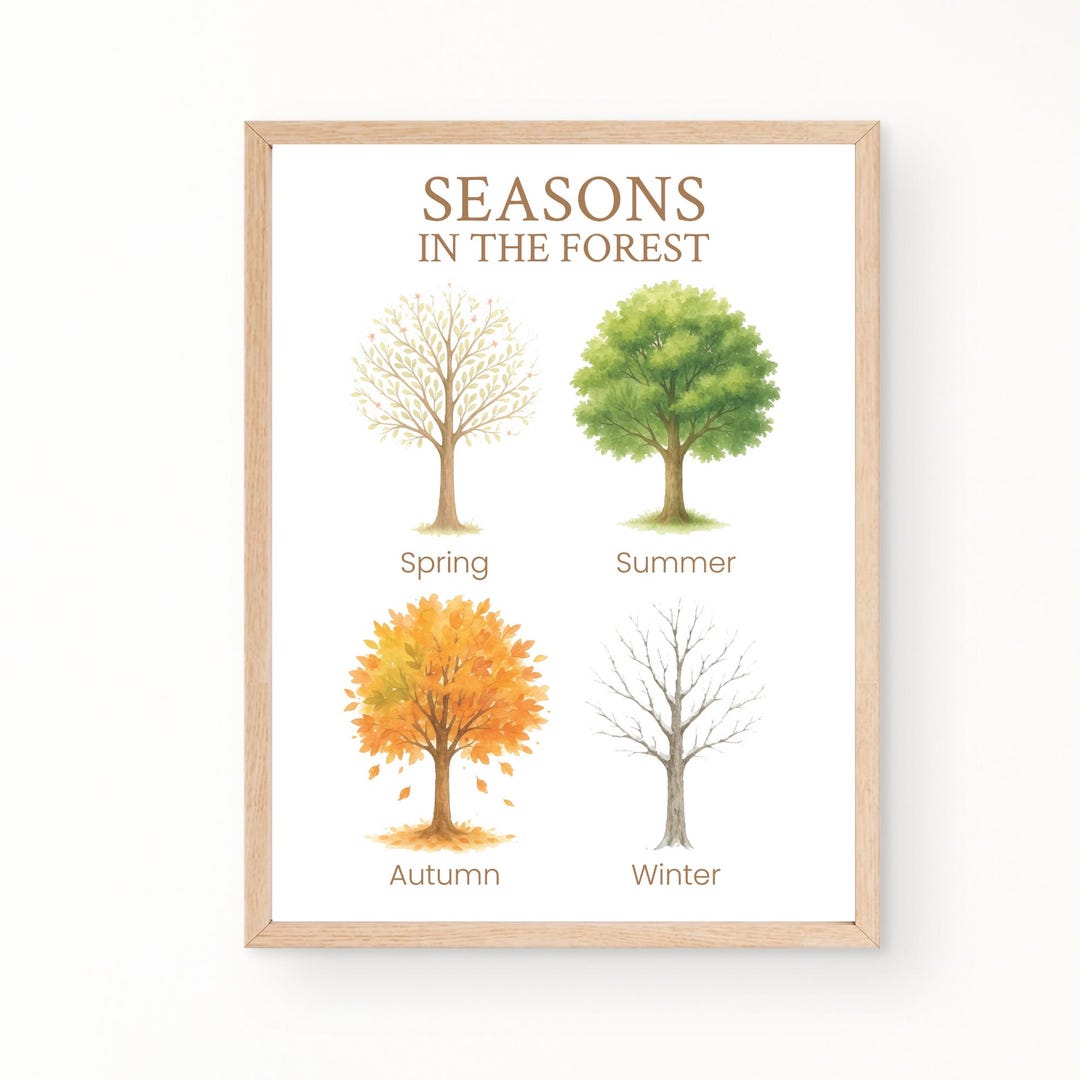 Woodland Seasons Early Learning Printable, Gentle Classroom or Forest ...