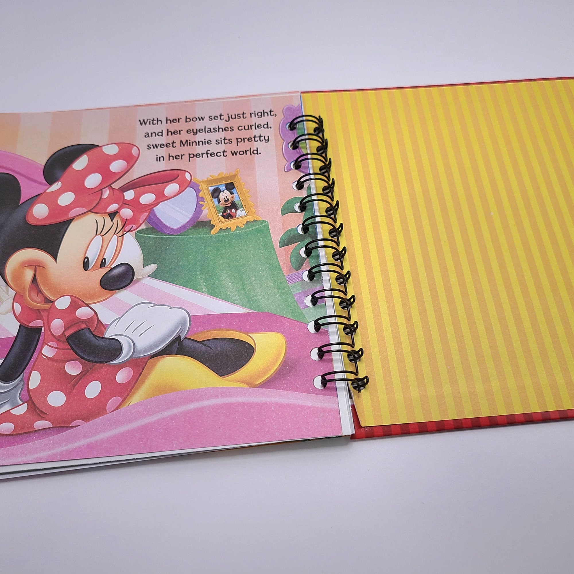 Disney Autograph Book, Repurposed Minnie Mouse Book, Upcycled Disney ...