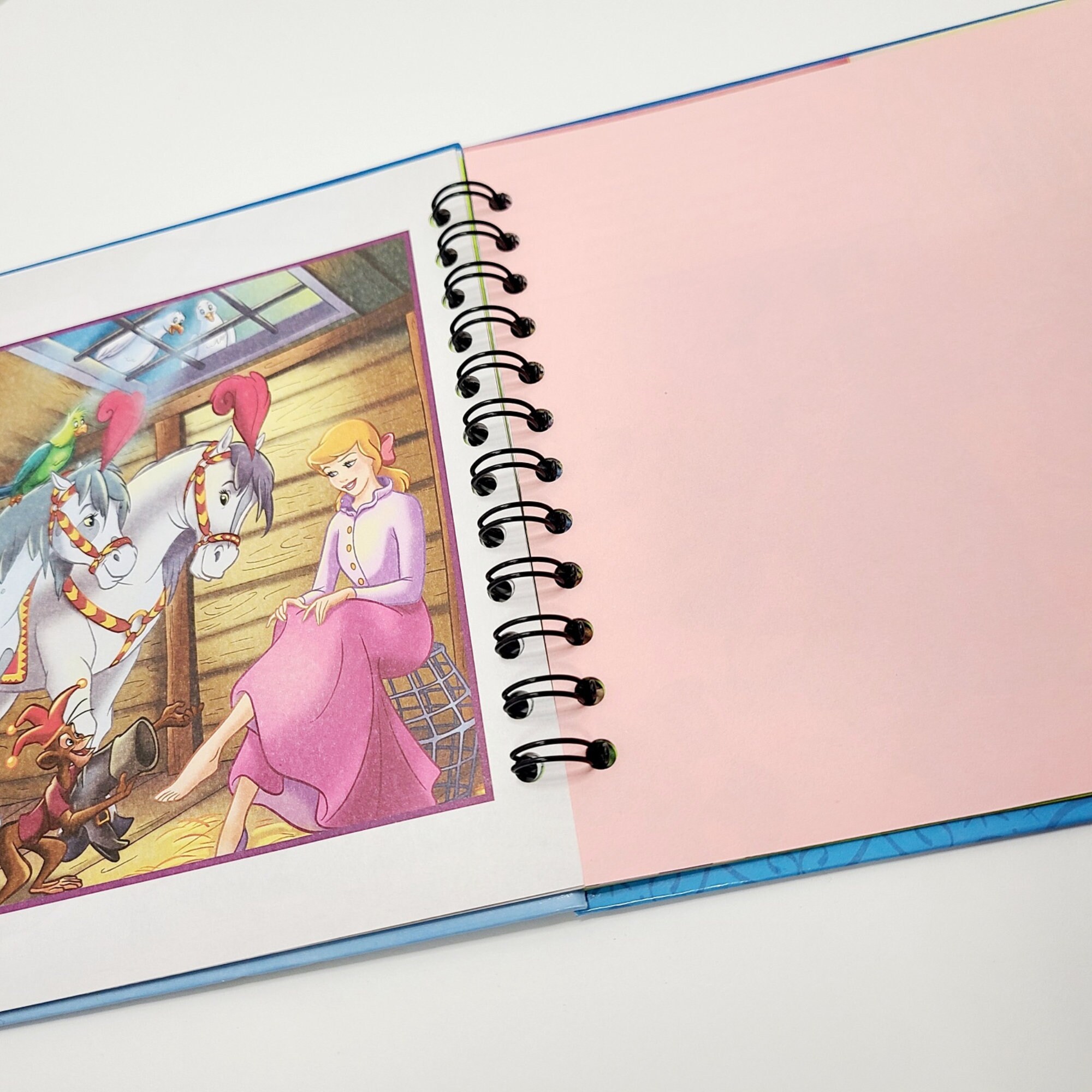 Cinderella Autograph Book, Disney Notebook, Disneyland Memories Journal ...