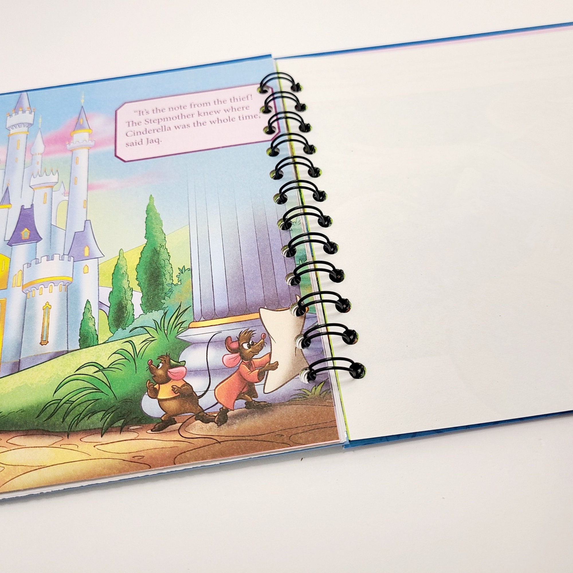 Cinderella Autograph Book, Disney Notebook, Disneyland Memories Journal ...