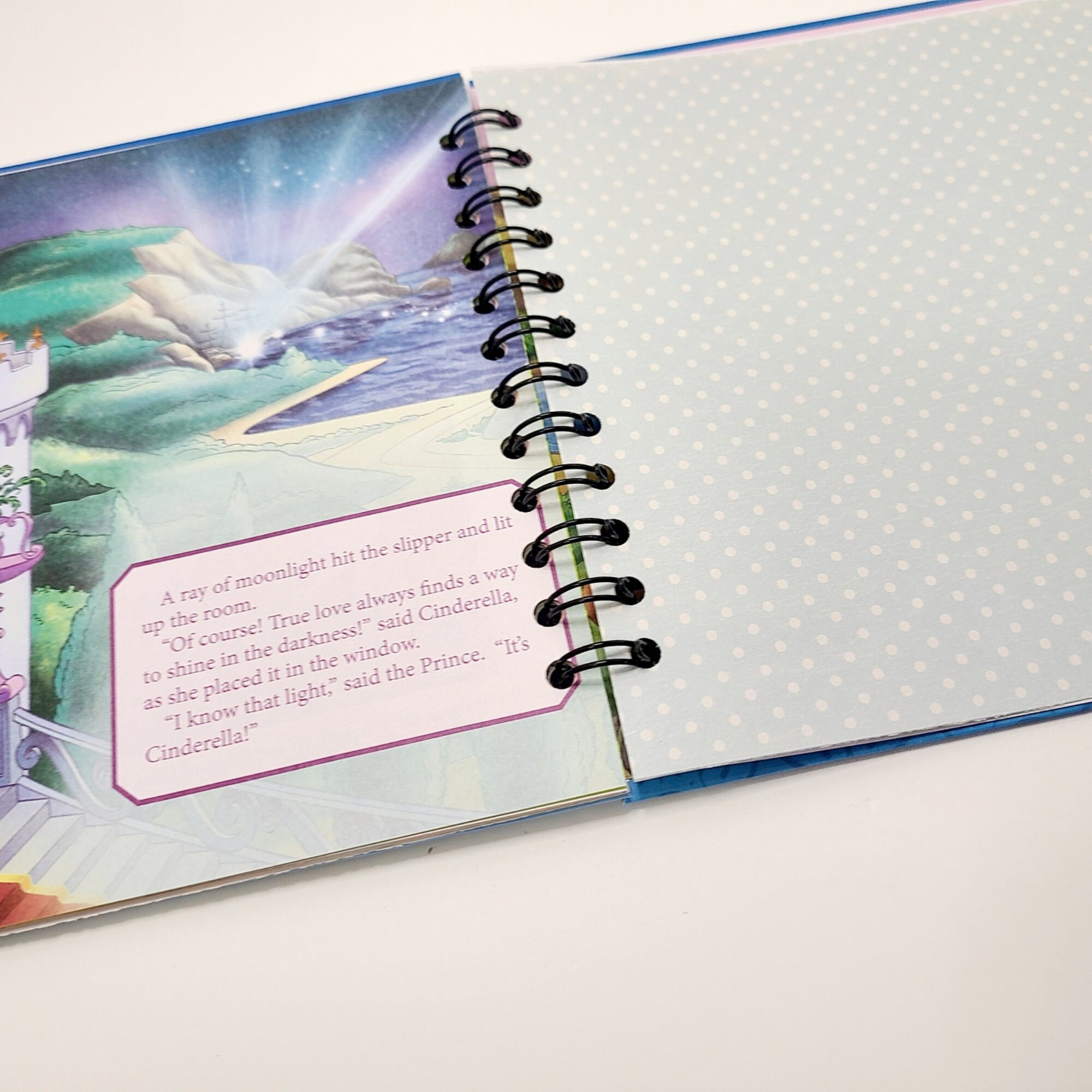 Cinderella Autograph Book, Disney Notebook, Disneyland Memories Journal ...