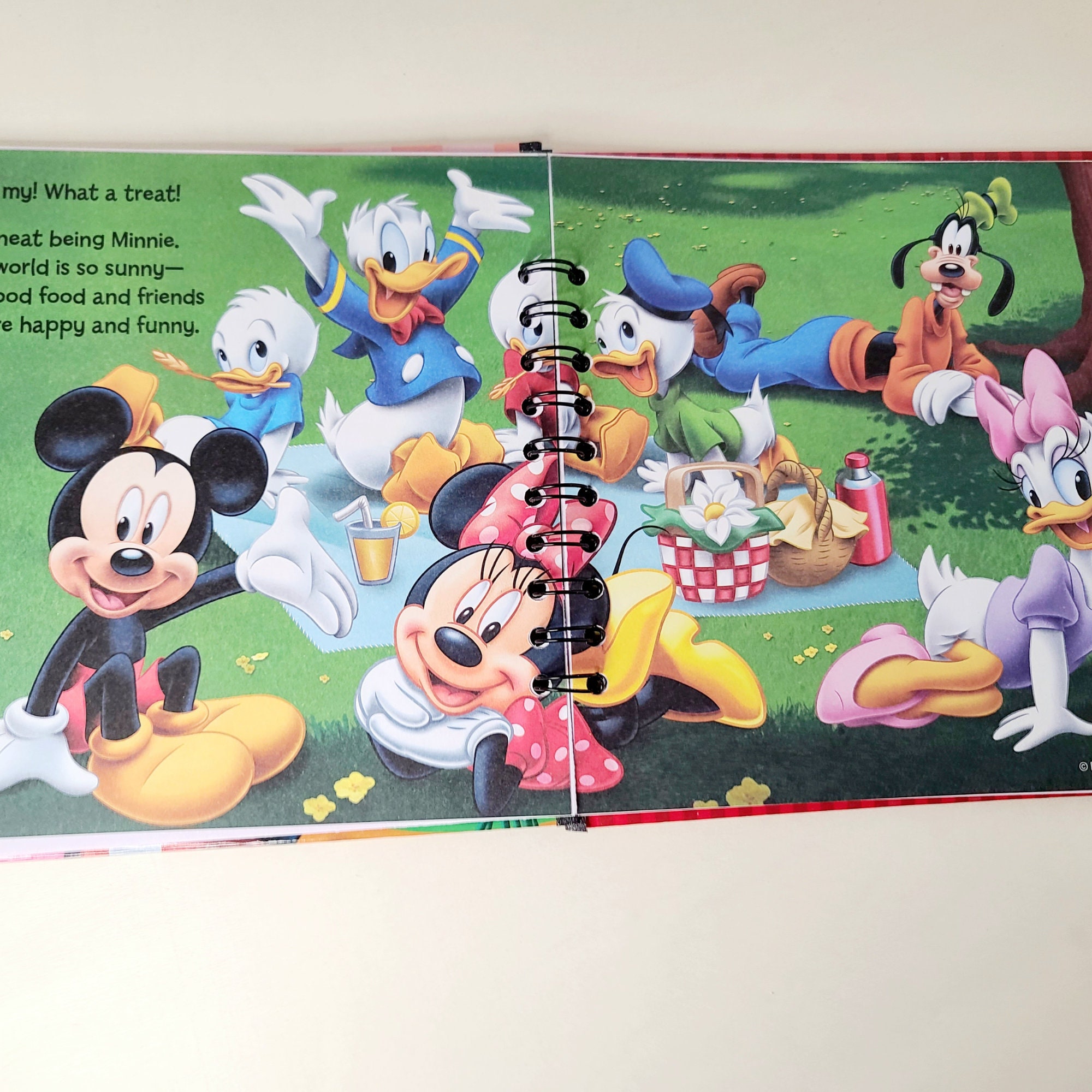 Disney Autograph Book, Repurposed Minnie Mouse Book, Upcycled Disney ...