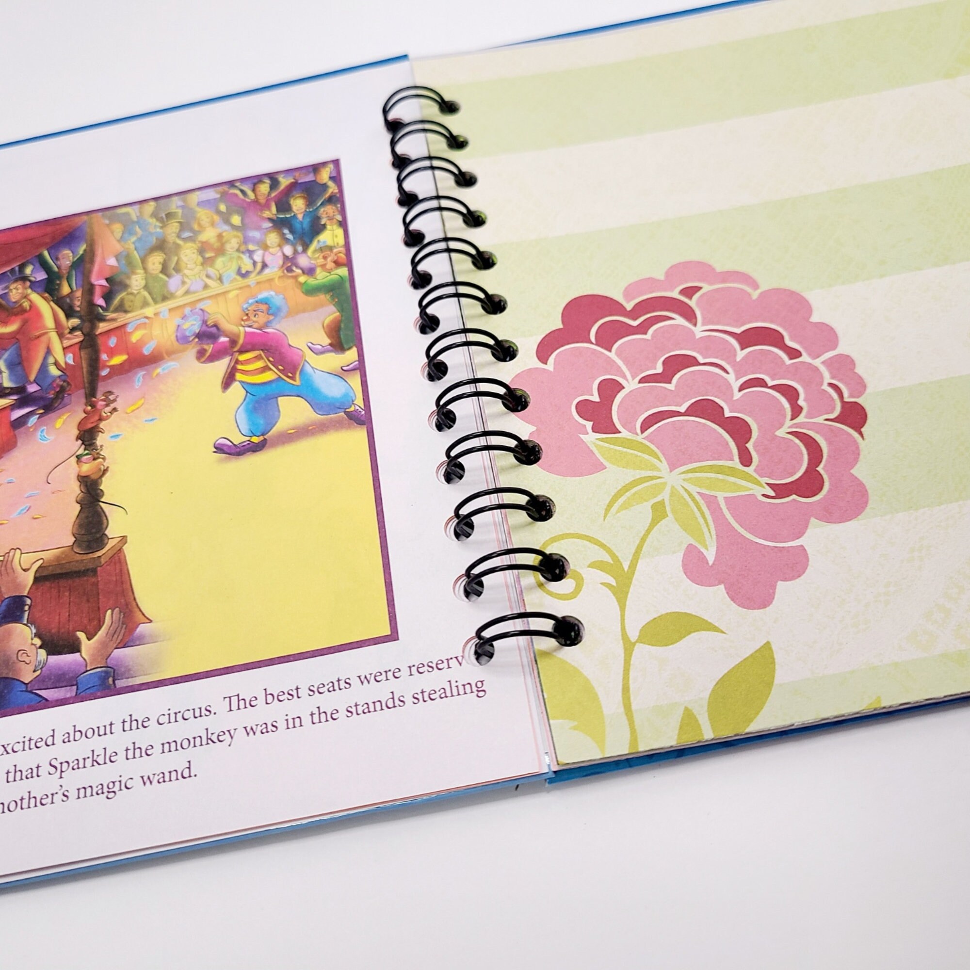 Cinderella Autograph Book, Disney Notebook, Disneyland Memories Journal ...