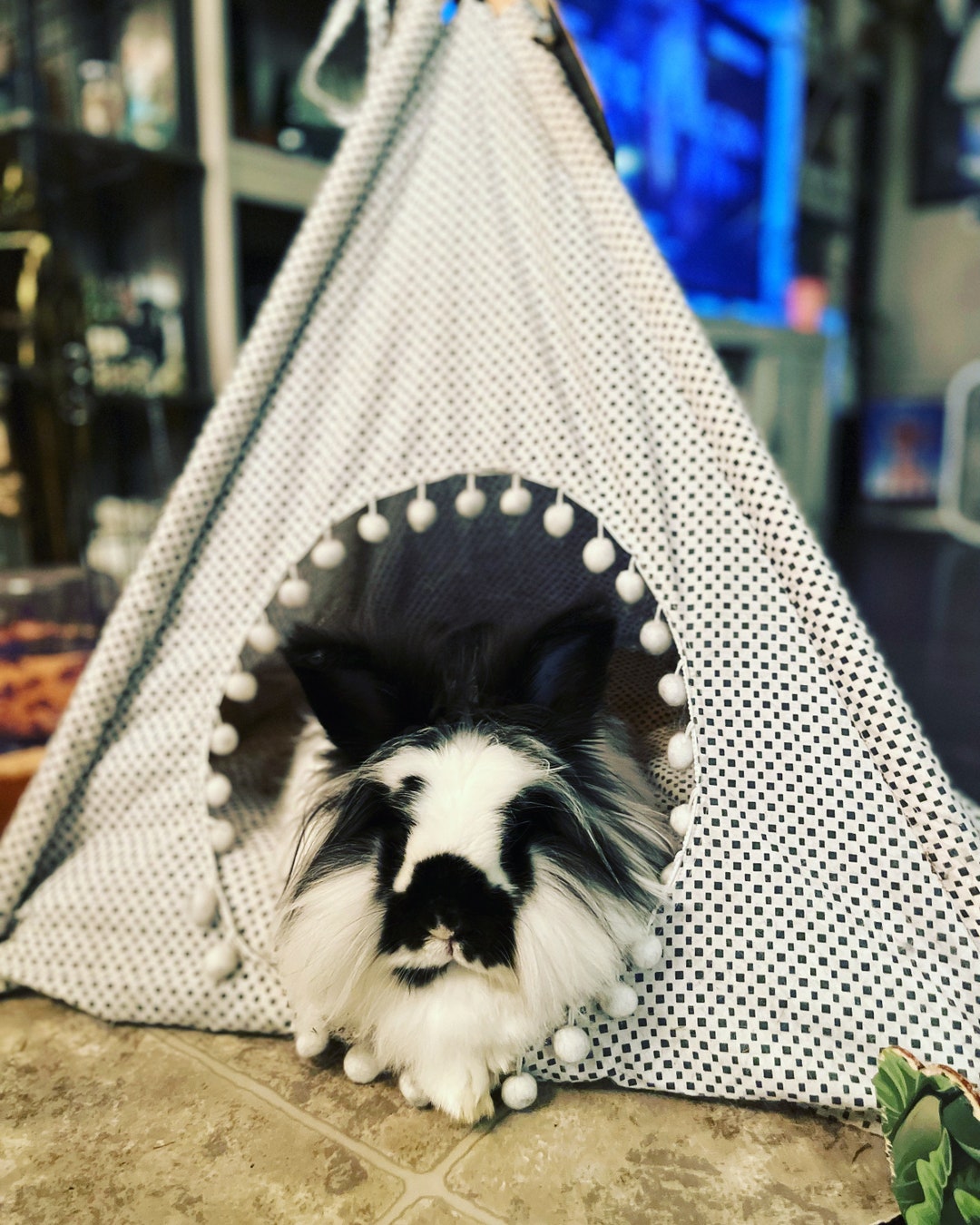 Pet Tipi With Customized Sign - Etsy