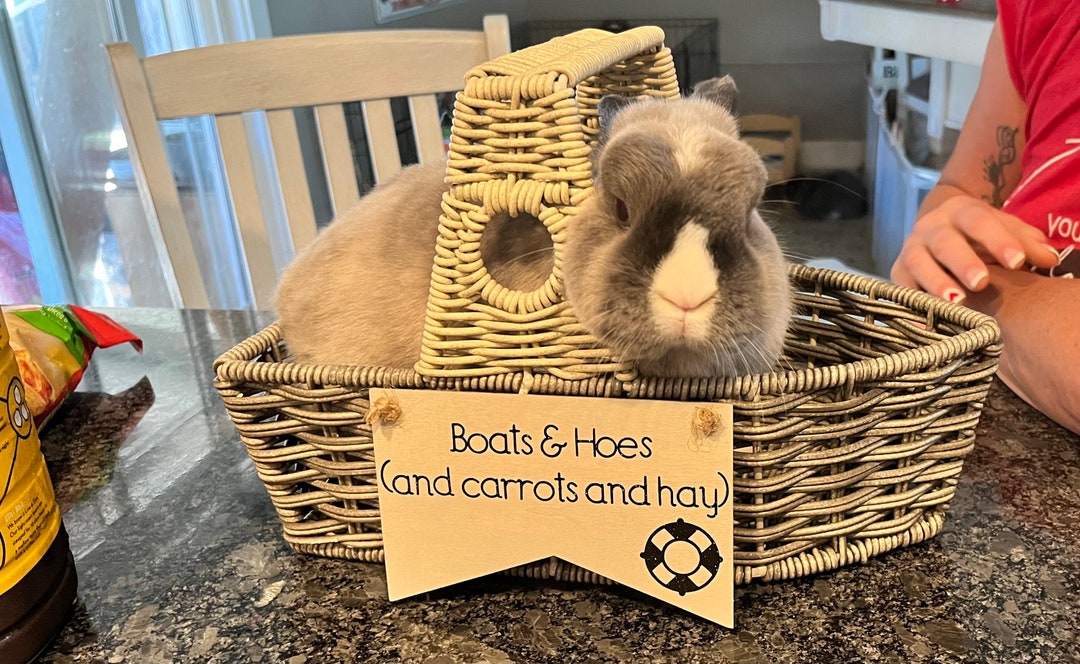 Small Animal Boat With Custom Sign. - Etsy