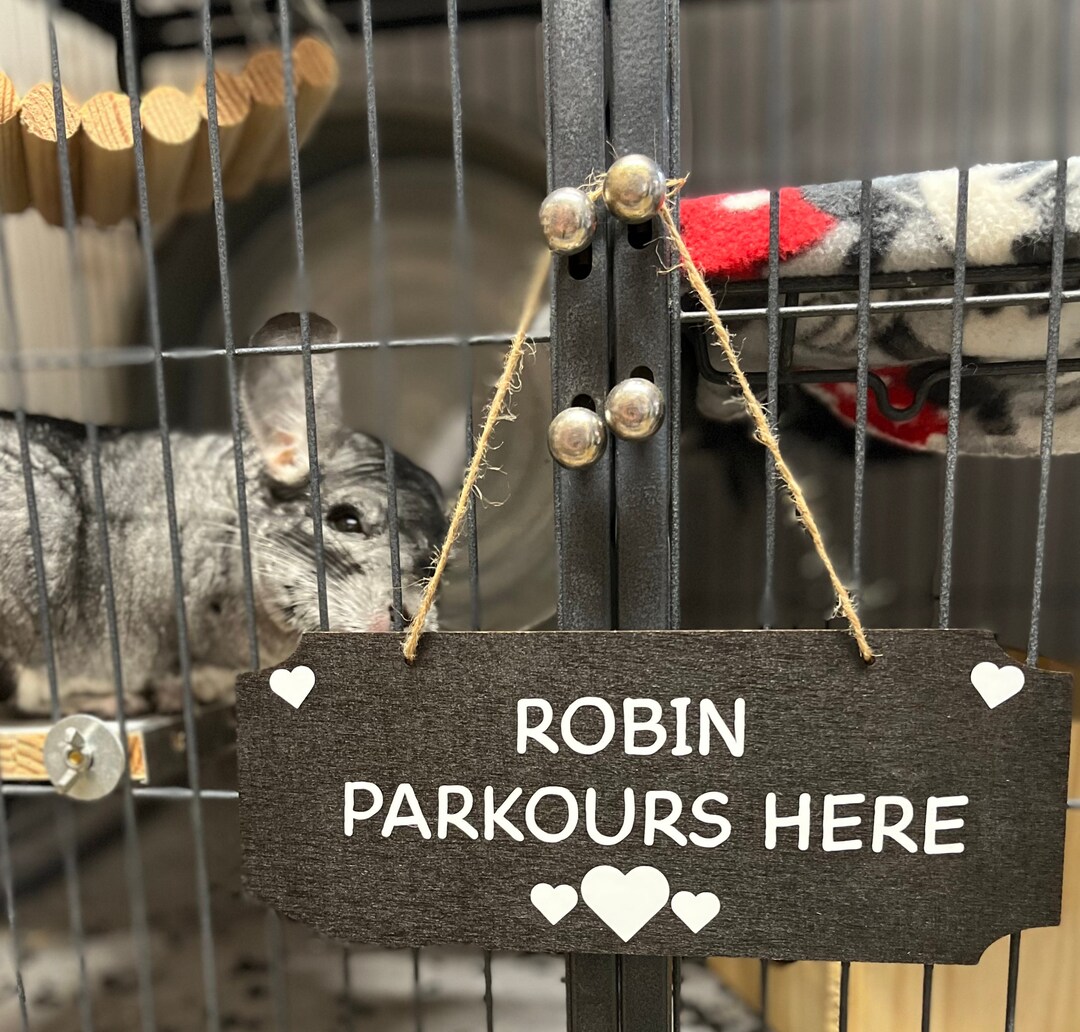 Chinchilla Parkour Sign - Etsy