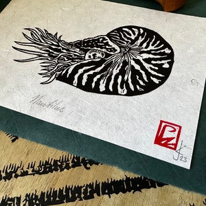 Nautilus Limited Edition Numbered Hand Drawn Hand Carved Hand Printed ...