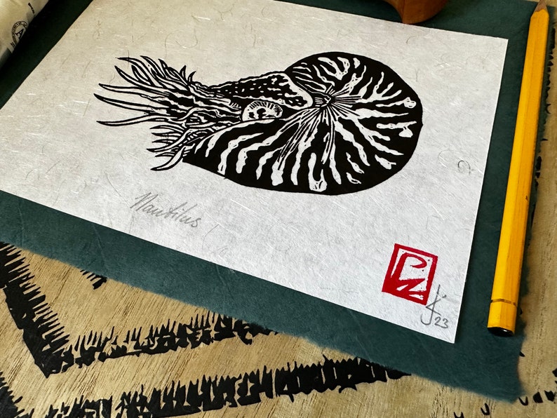 Nautilus Limited Edition Numbered Hand Drawn Hand Carved Hand Printed ...