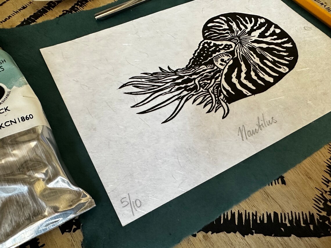 Nautilus Limited Edition Numbered Hand Drawn Hand Carved Hand Printed ...