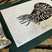 Nautilus Limited Edition Numbered Hand Drawn Hand Carved Hand Printed ...