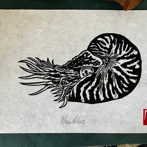Nautilus Limited Edition Numbered Hand Drawn Hand Carved Hand Printed ...