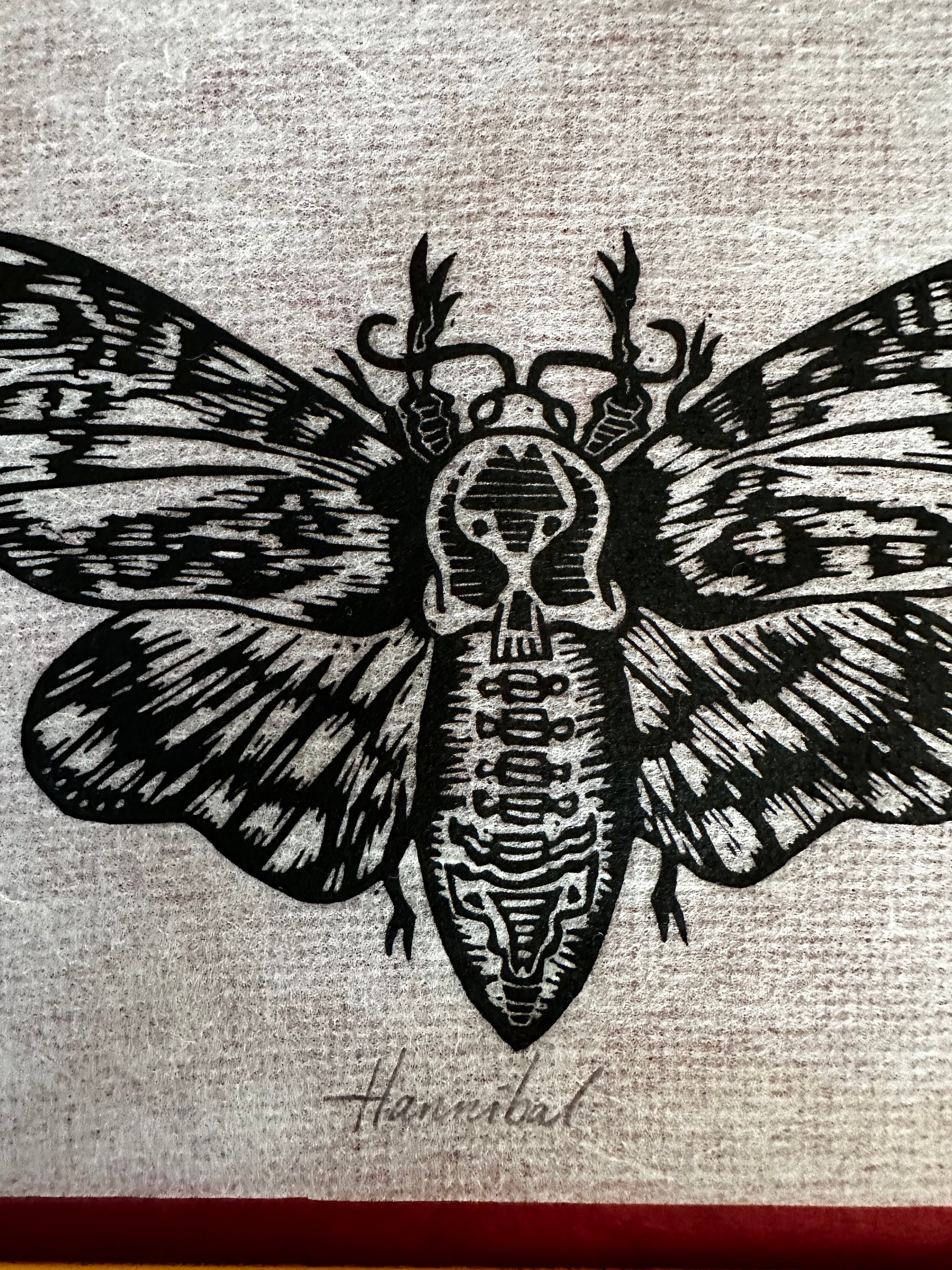 Death's-head Hawk Moth Hannibal Limited Edition Numbered Hand Drawn ...