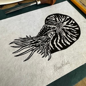 Nautilus Limited Edition Numbered Hand Drawn Hand Carved Hand Printed ...