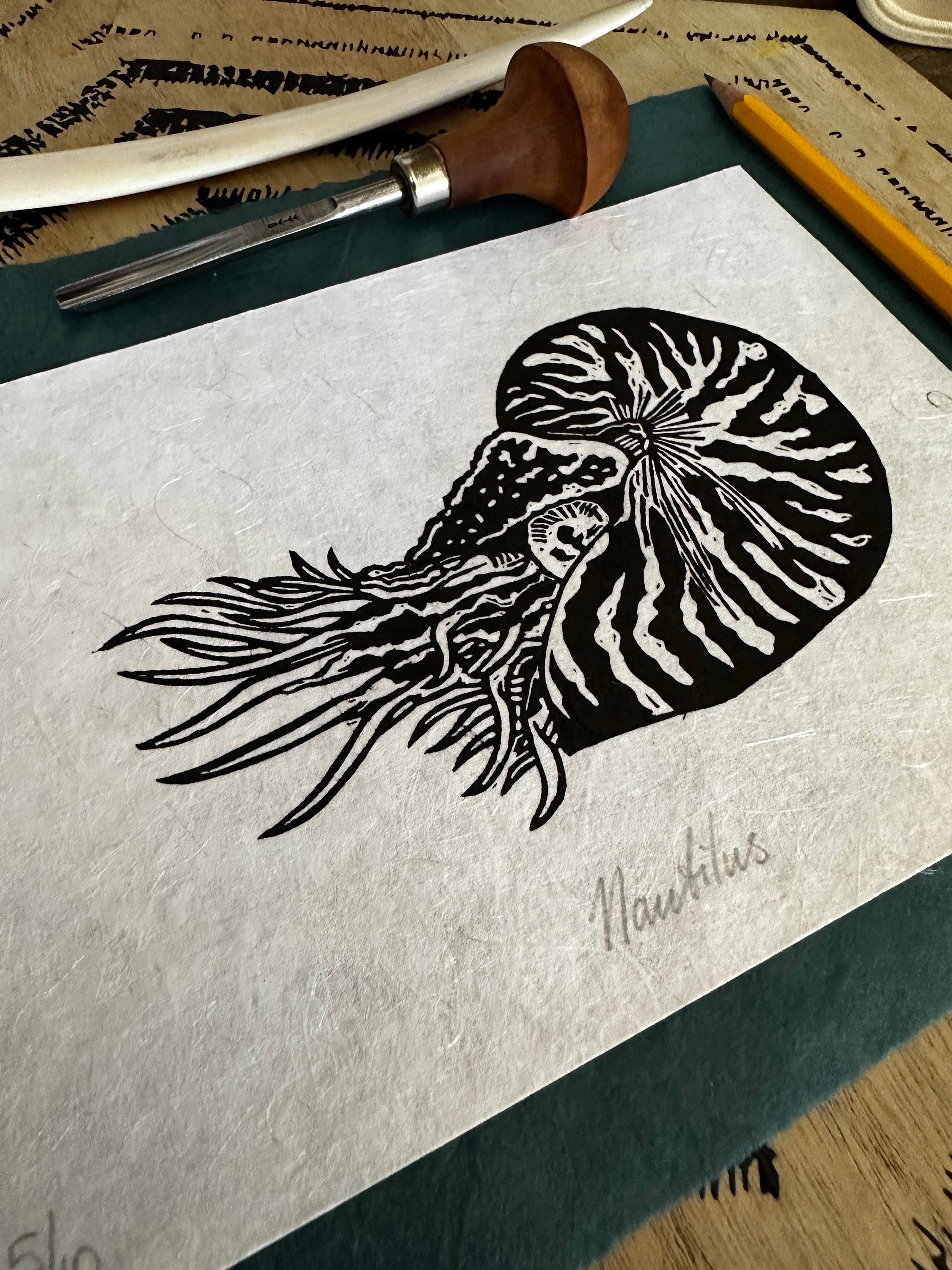 Nautilus Limited Edition Numbered Hand Drawn Hand Carved Hand Printed ...
