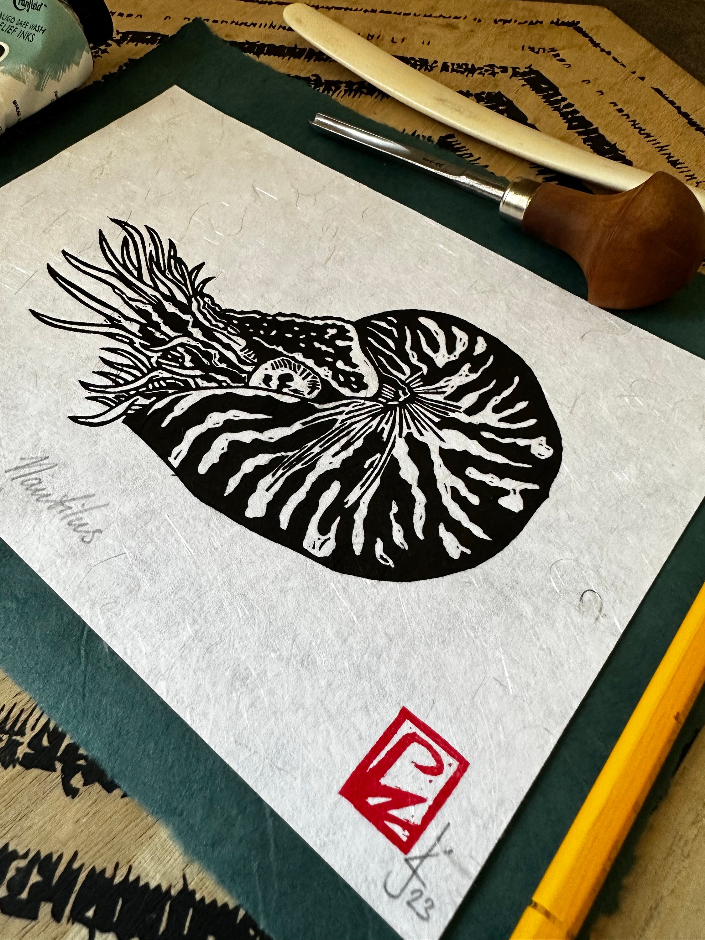 Nautilus Limited Edition Numbered Hand Drawn Hand Carved Hand Printed ...