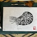 Nautilus Limited Edition Numbered Hand Drawn Hand Carved Hand Printed ...