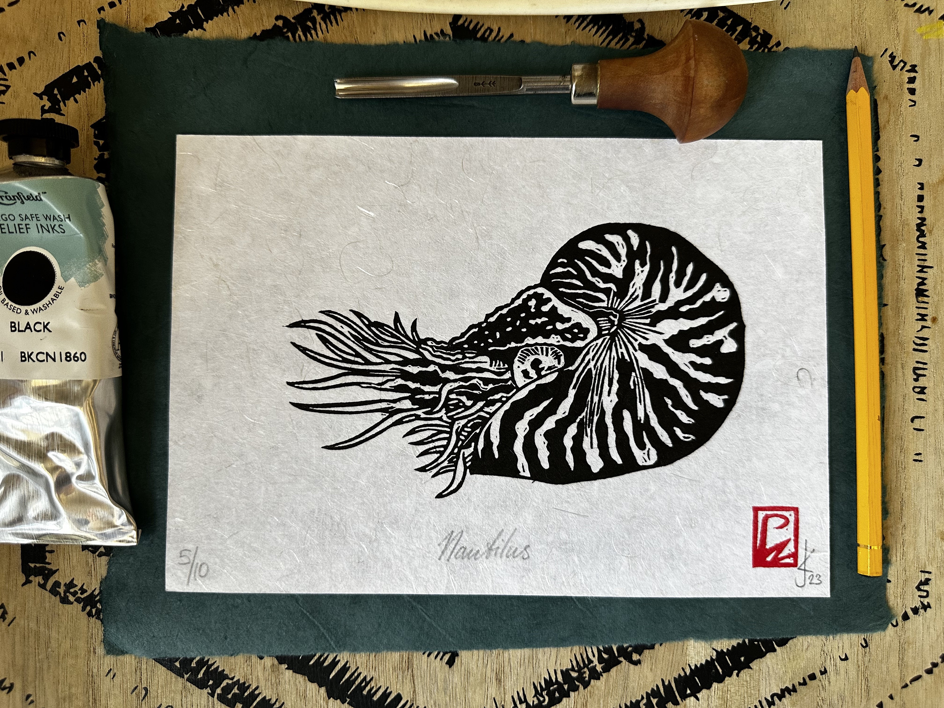 Nautilus Limited Edition Numbered Hand Drawn Hand Carved Hand Printed ...
