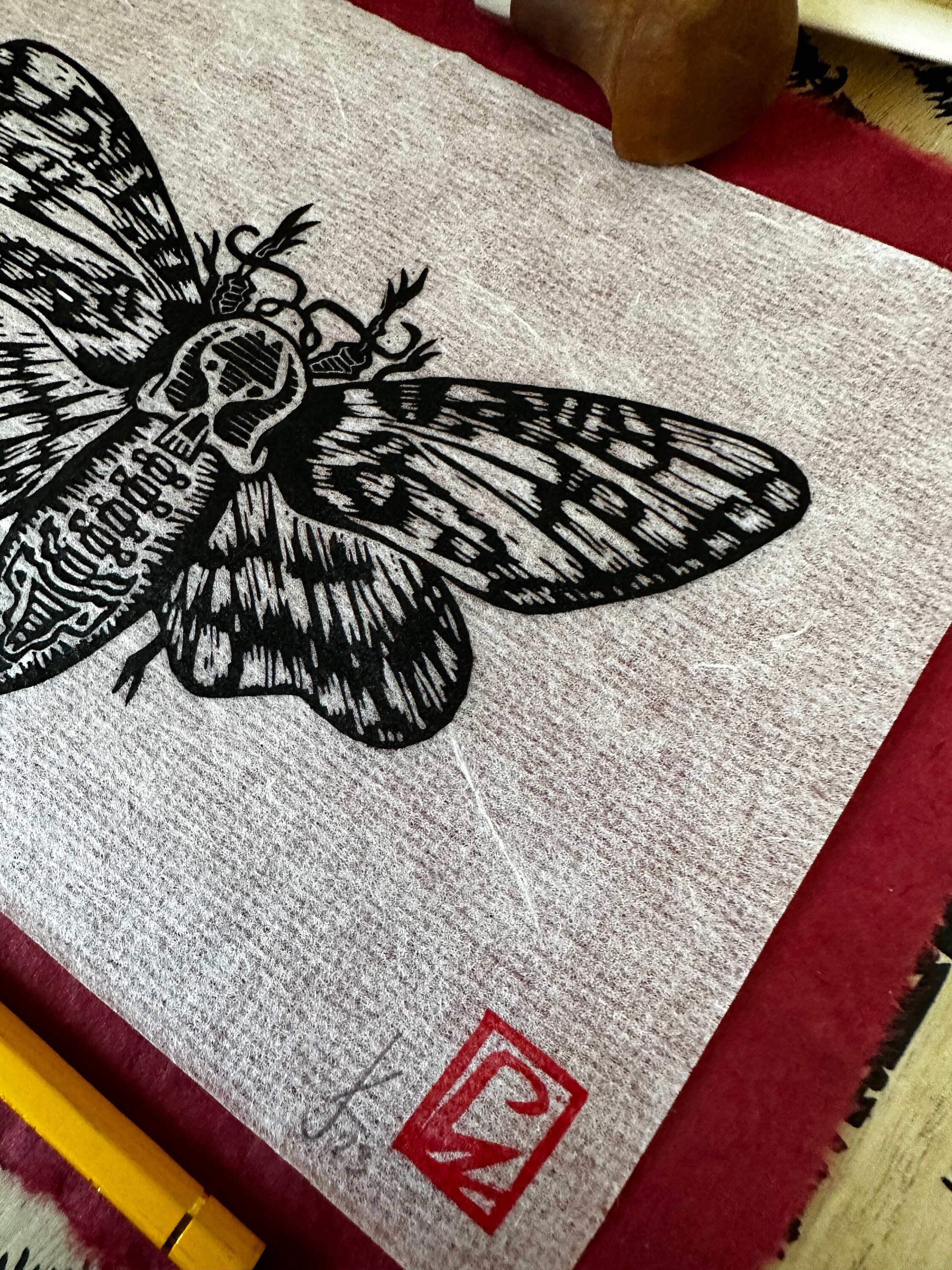 Death's-head Hawk Moth Hannibal Limited Edition Numbered Hand Drawn ...