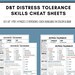 Wise Mind DBT Skill Handouts - Etsy