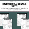 Emotion Regulation DBT Skills Sheets - Etsy