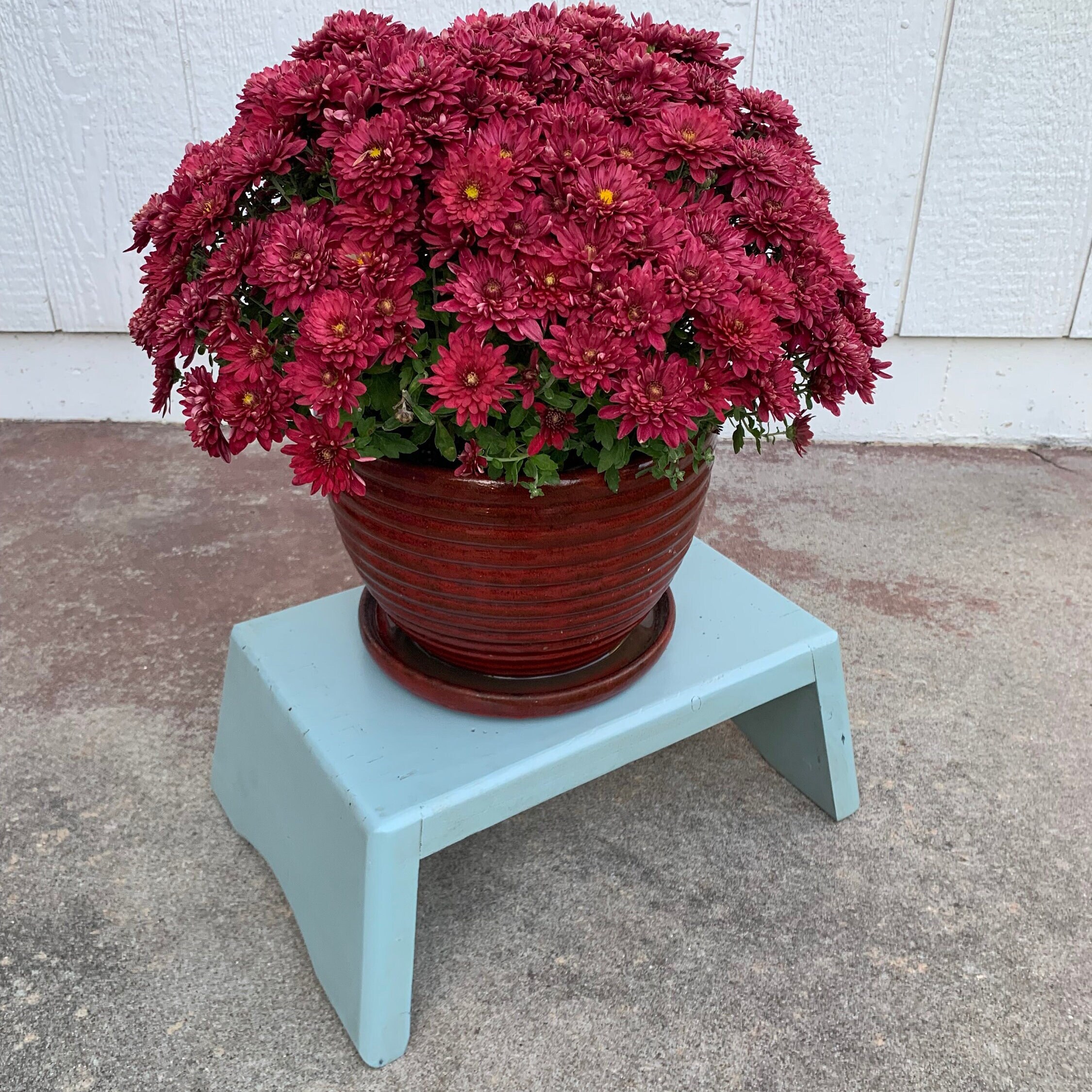 Hand Crafted Wood Step Stool, Tip-proof, Stained, Painted, Rustic ...