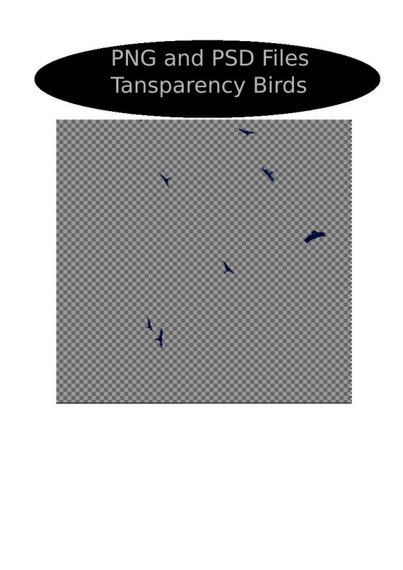 Transparency Birds PNG and PSD Files - Etsy