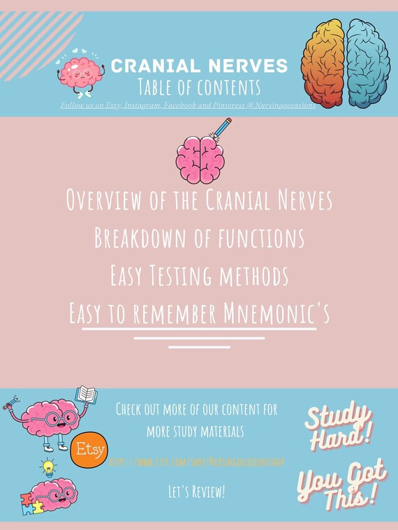 Cranial Nerves Printable PDF Notes Study Guide Nursing - Etsy