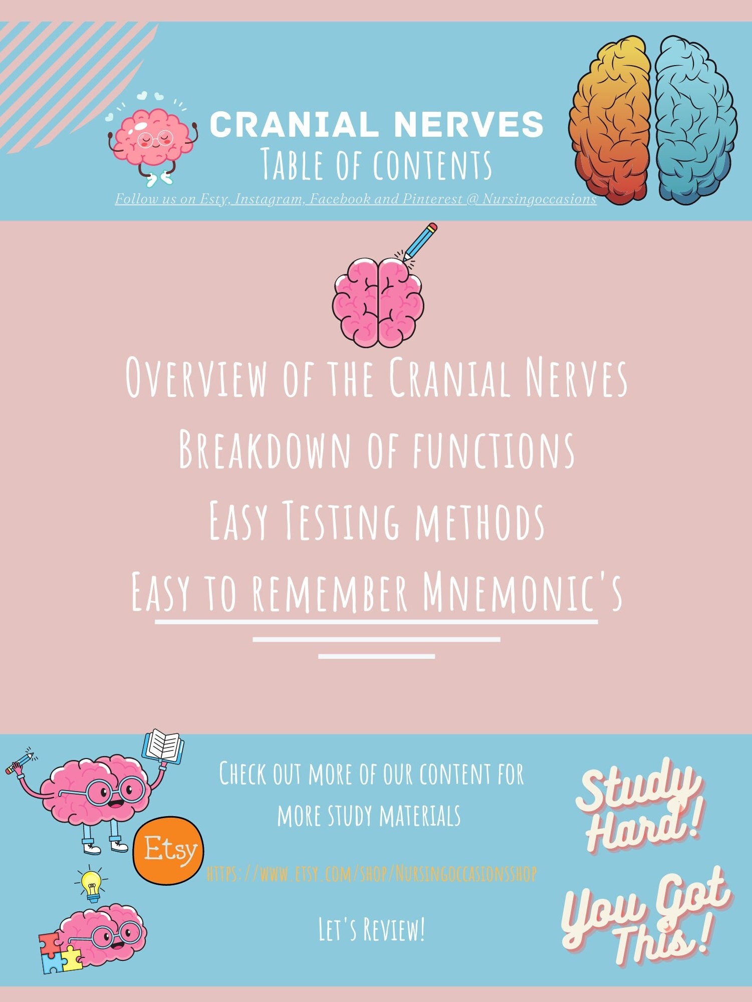 Cranial Nerves Printable PDF Notes Study Guide Nursing Guides Nursing ...