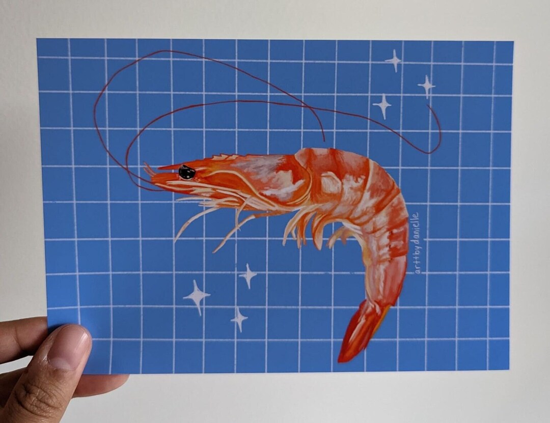 Shrimp - Etsy