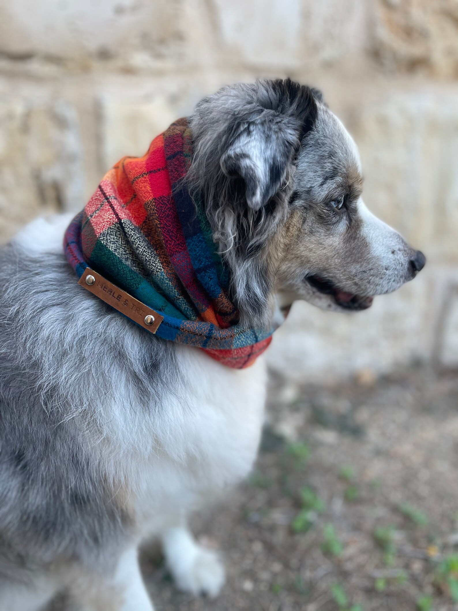 Dog Infinity Scarf aspen Bandeau Scarf, Flannel, Dog Neck Wear, Flannel ...