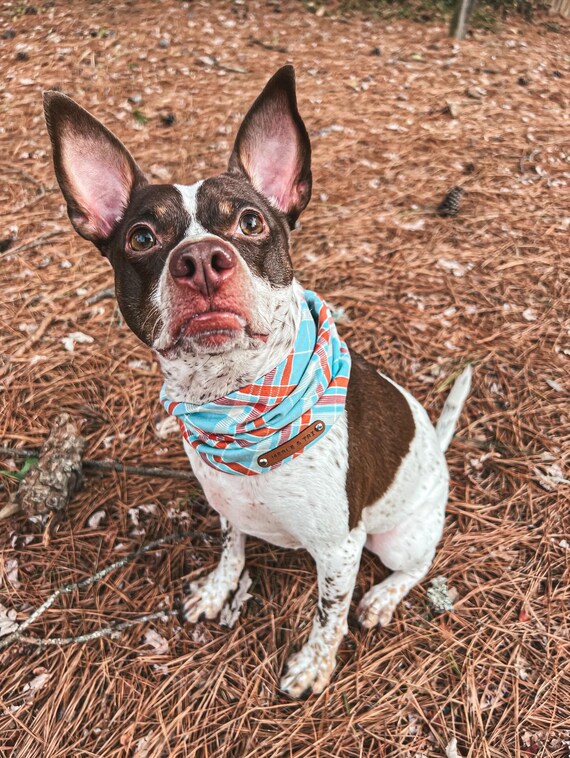 Dog Infinity Scarf Robin Bandeau Scarf flannel dog neck wear flannel dog snood bandana Etsy France