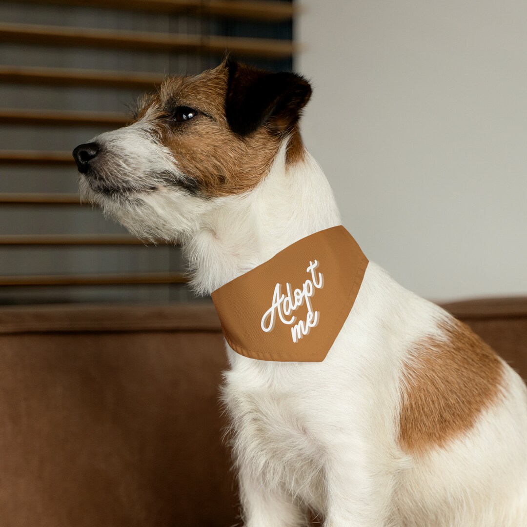 Adopt Me Blue Pet Bandana Collar - Etsy