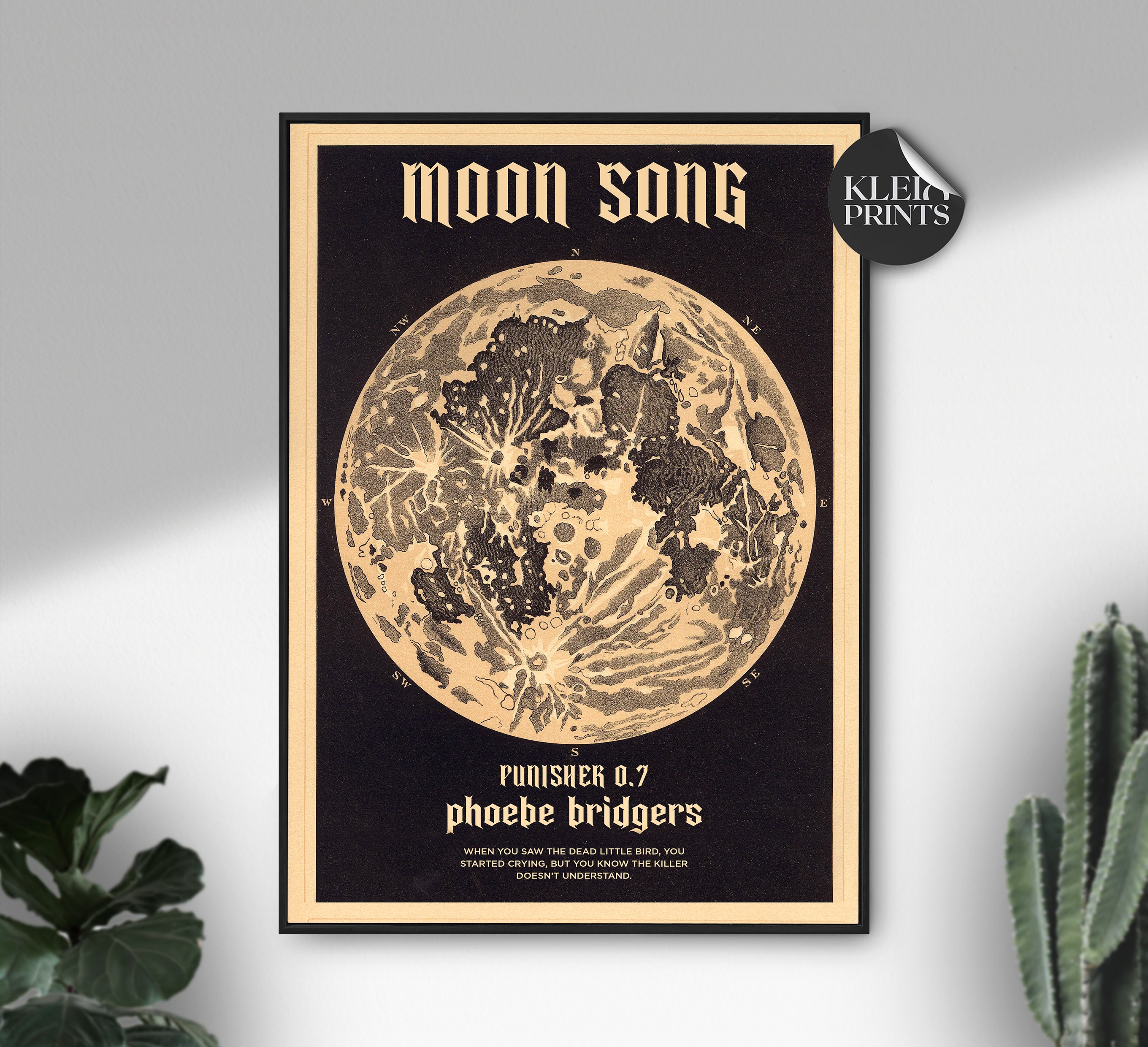 Phoebe Bridgers Poster - Moon Song - Punisher Album - Album Art Poster