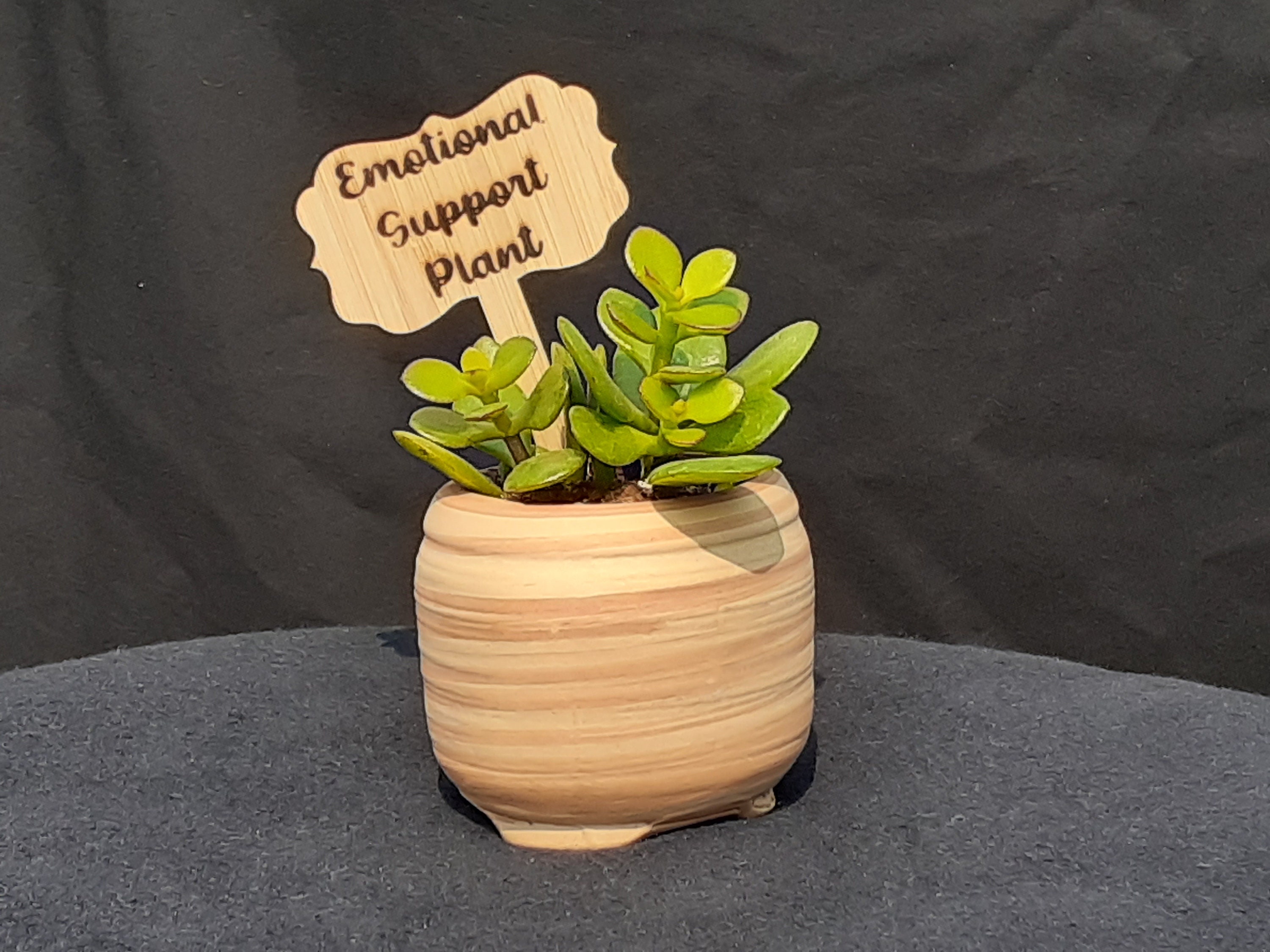 Emotional Support Plant - Wooden Plant Stake - Etsy