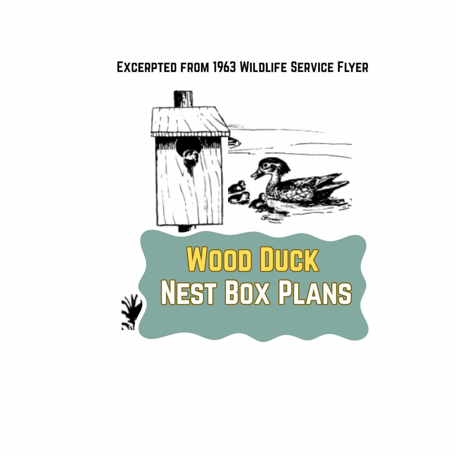 Wood Duck Nest Box Plans (PDF, 2 Plans, Instructions, Diagrams ...