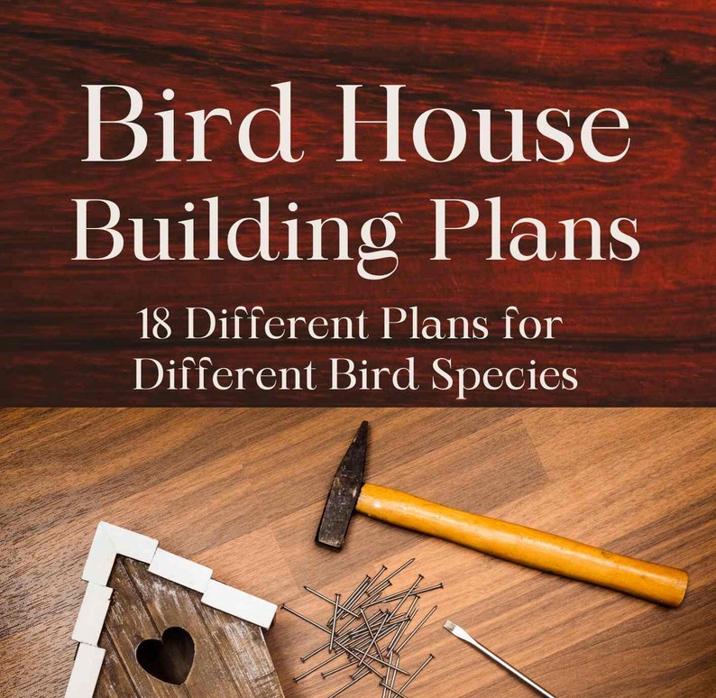 Bird House Building Plans, 18 Designs (PDF File, E-book) - Etsy