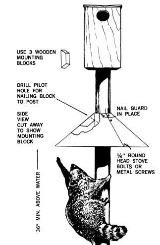 Wood Duck Nest Box Plans (PDF, 2 Plans, Instructions, Diagrams ...