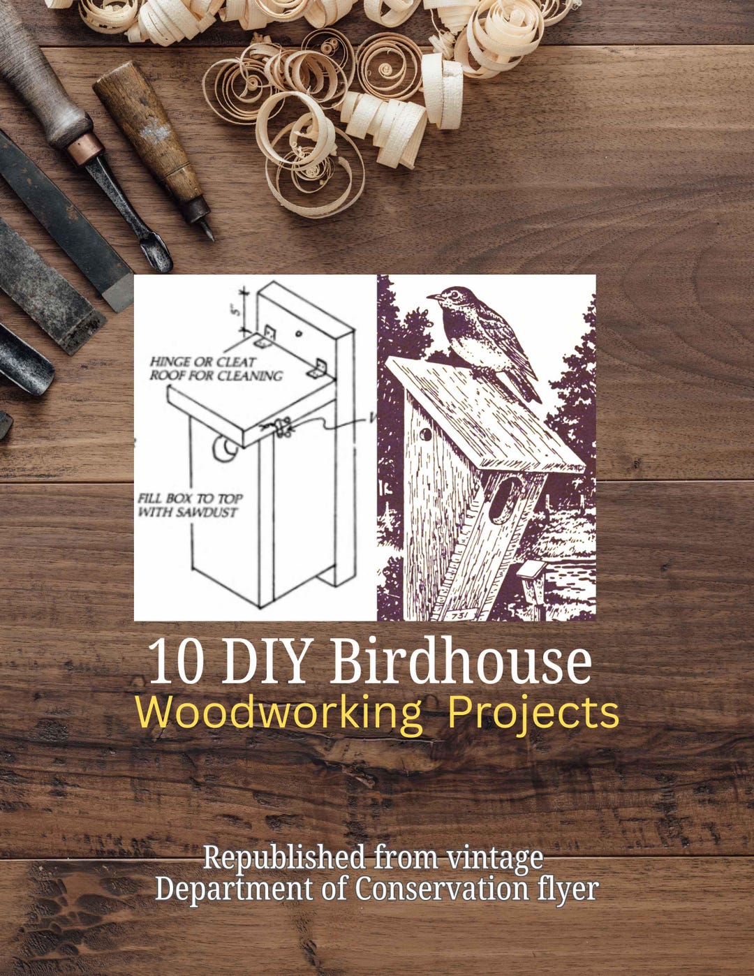10 DIY Birdhouse Woodworking Projects (PDF File, Excerpted From 1980s ...