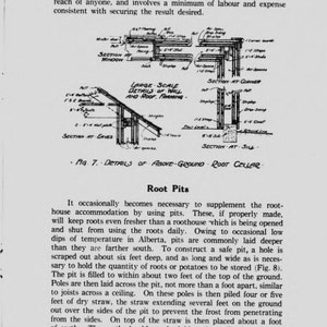Vintage Root Cellar Plans, PDF Downloadable for I-phone, Tablet, or PC ...