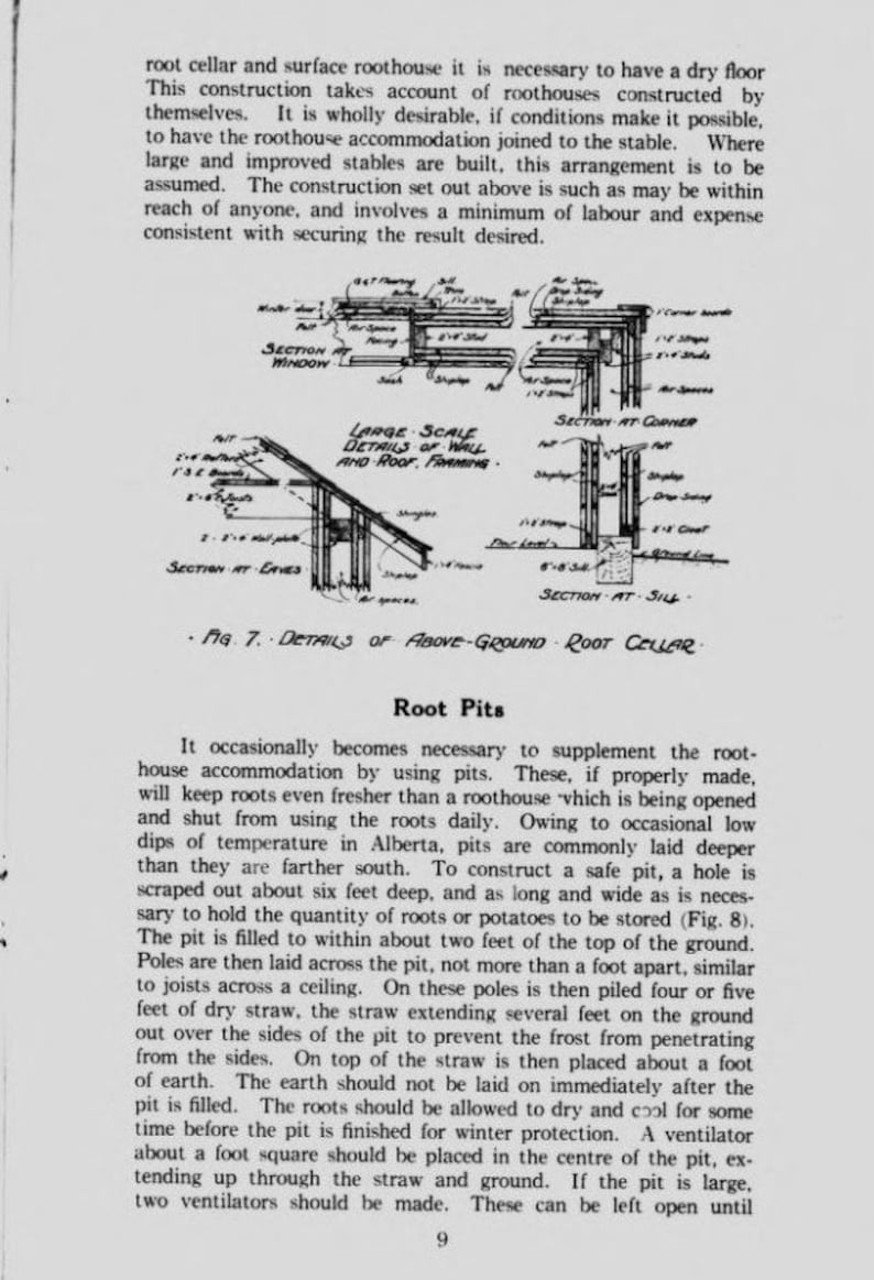 Vintage Root Cellar Plans, PDF Downloadable for I-phone, Tablet, or PC ...