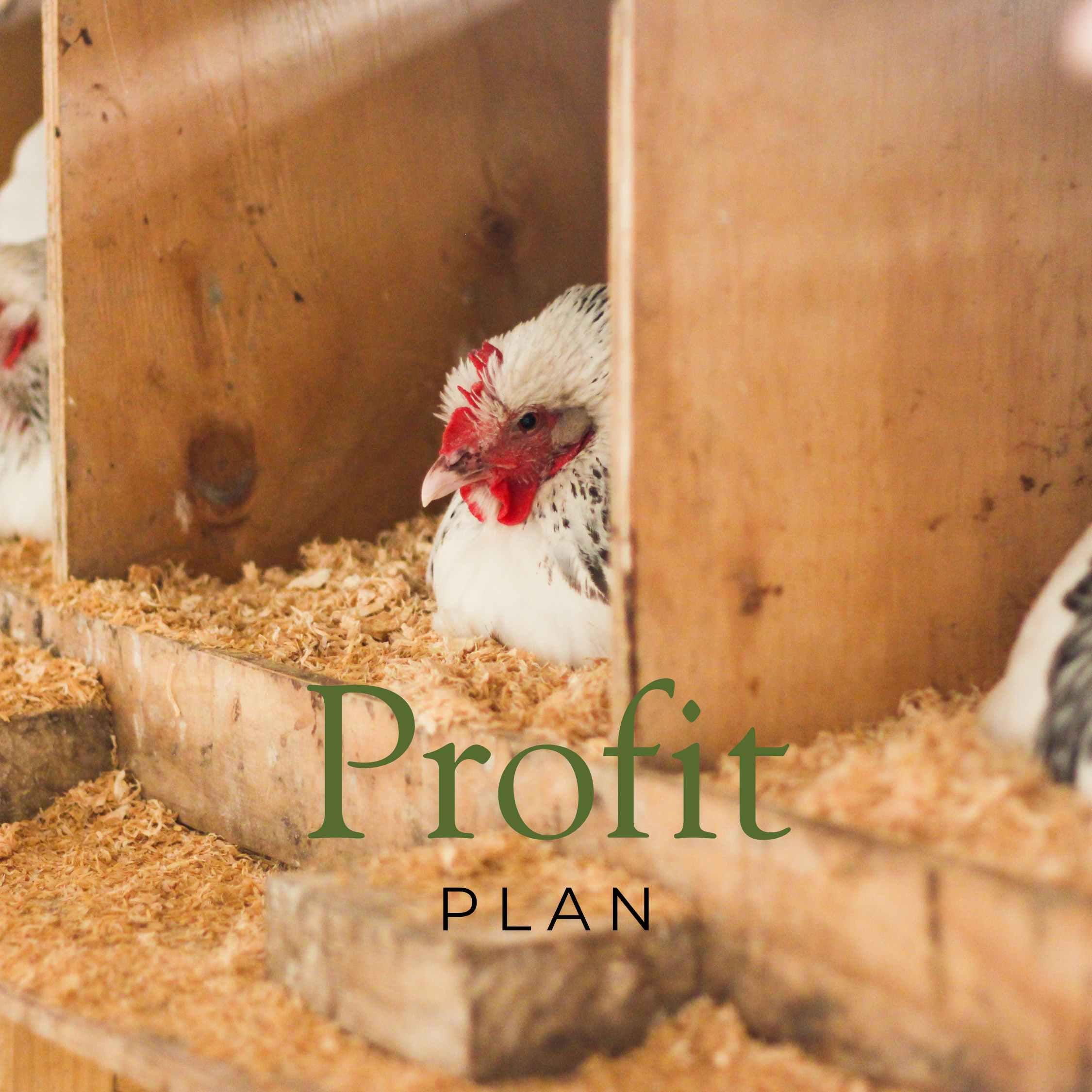 8'x8' Chicken Layer Coop Plans (PDF File Instant Download, Republished ...